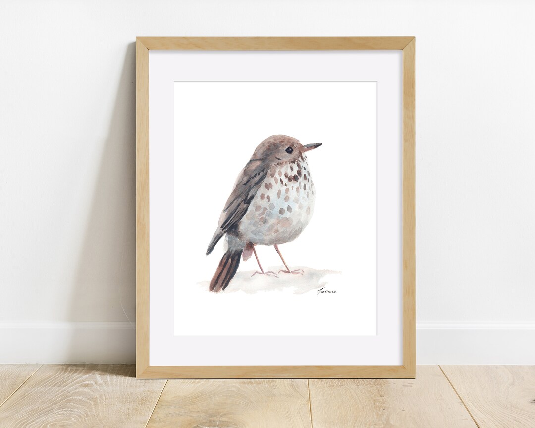 Bird Print of Hermit Thrush, Printable Art, Instant Download, Wall Art ...