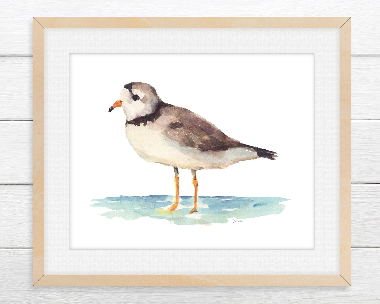 Set of 4 Beach Bird Prints Watercolor Birds Downloadable - Etsy