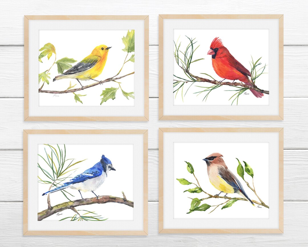Set of 4 Bird Prints, Set of Four Prints Mailed to You, Gift for Her ...