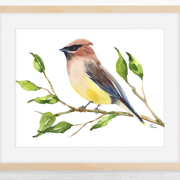 Original Waxwing Bird Art - Etsy