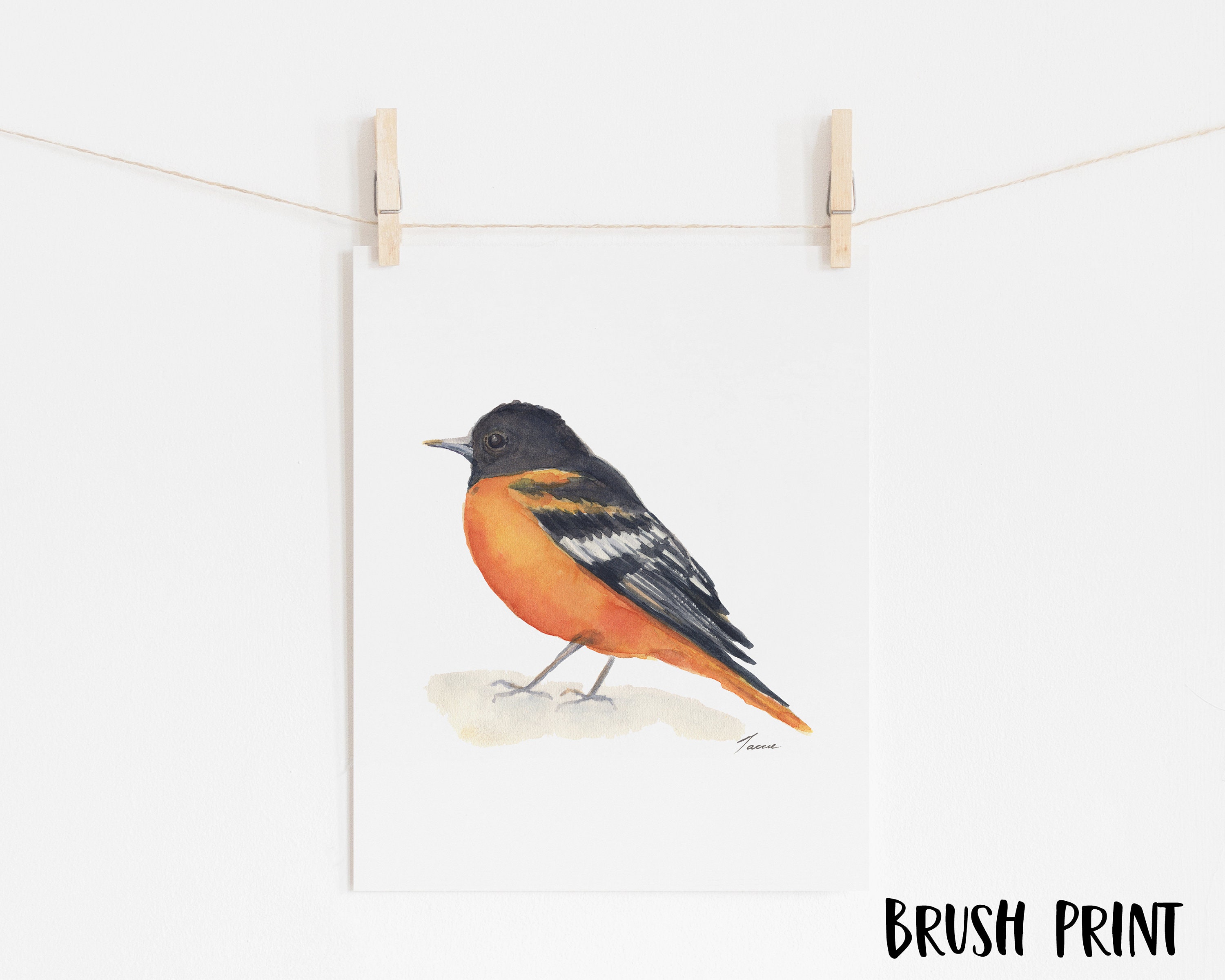 Set of Four Colorful Bird Prints, Watercolor Birds, Downloadable Prints ...