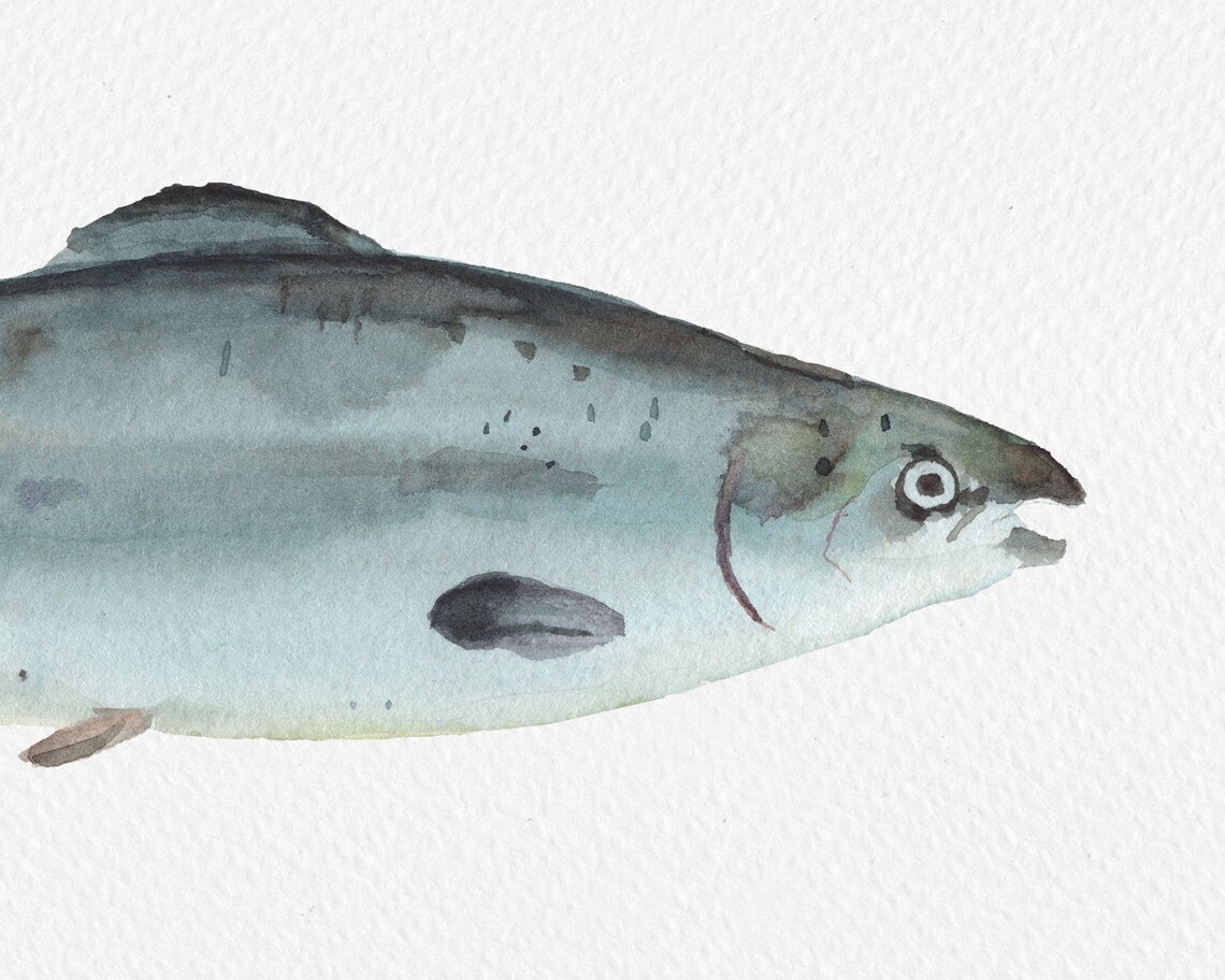 Large Print of Three Fish, Printable Fish Painting, Gift for Him, Fly ...