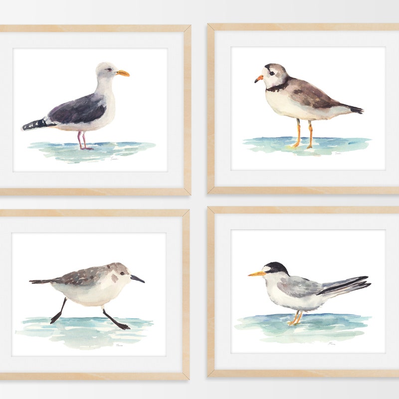 Sea Tern - Etsy