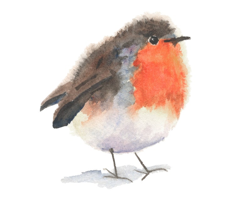 Watercolor Bird Cute Fuzzy Bird Watercolor Robin Printable - Etsy