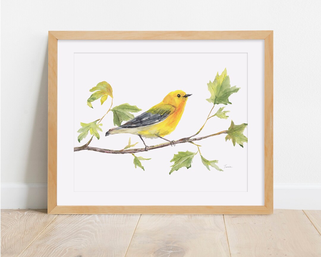 Prothonotary Warbler Watercolor Bird Print, Watercolor Yellow Bird ...