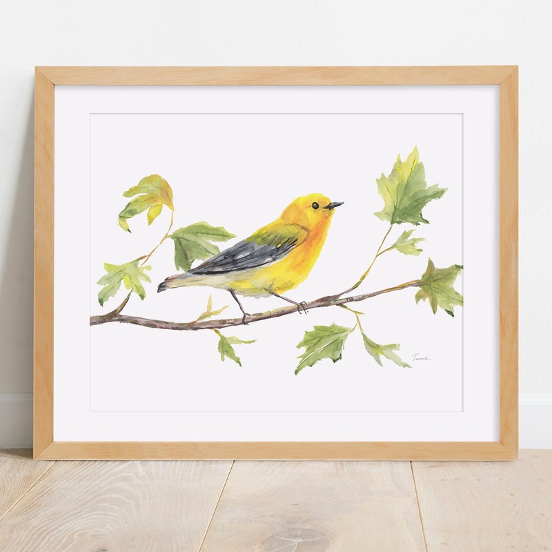 Prothonotary Warbler - Etsy