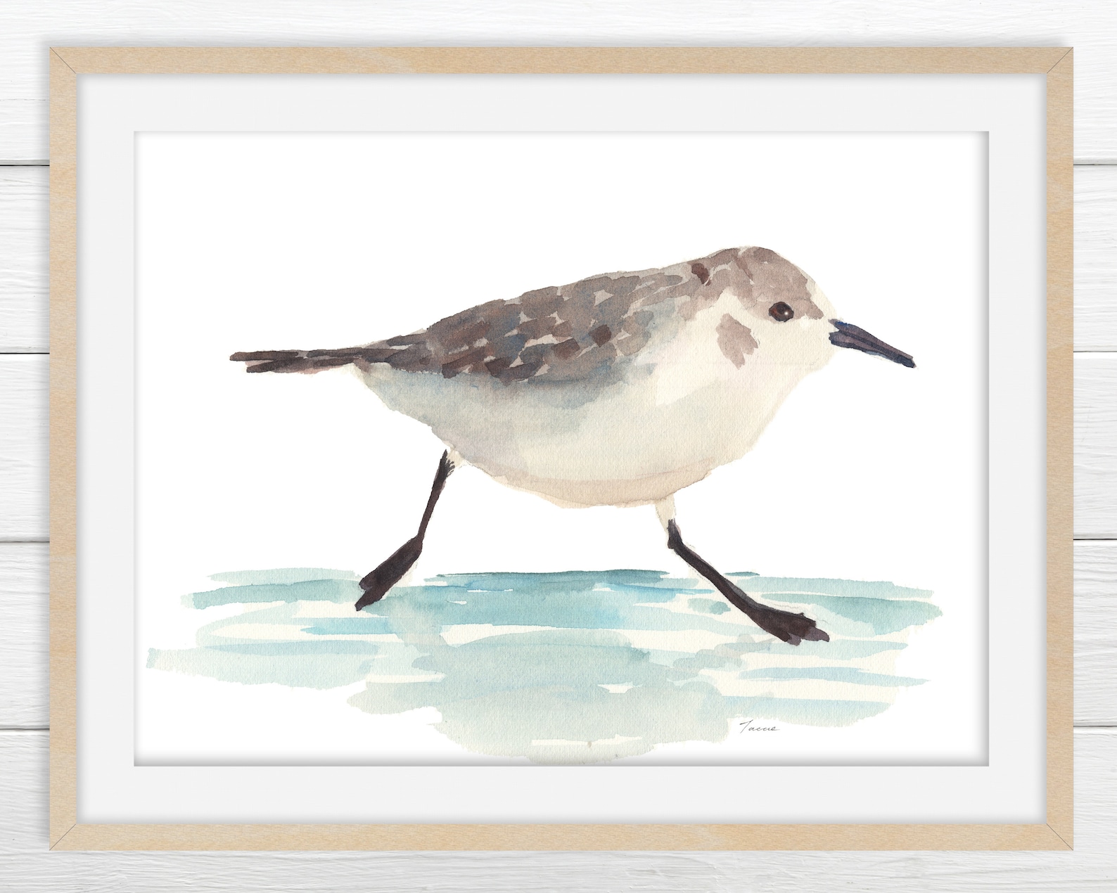 Set of 4 Beach Bird Prints Watercolor Birds Downloadable - Etsy
