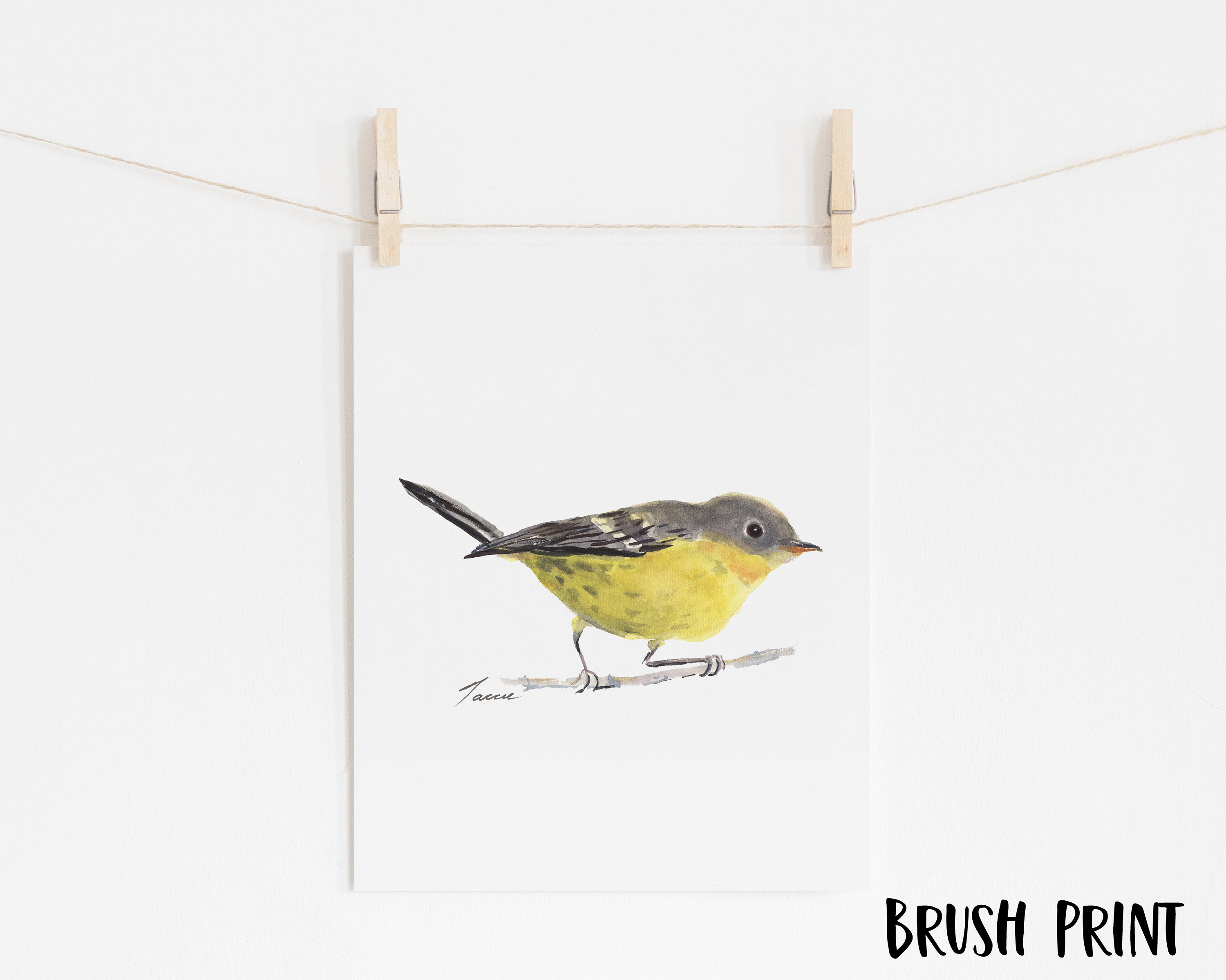 Set of Four Colorful Bird Prints, Watercolor Birds, Downloadable Prints ...