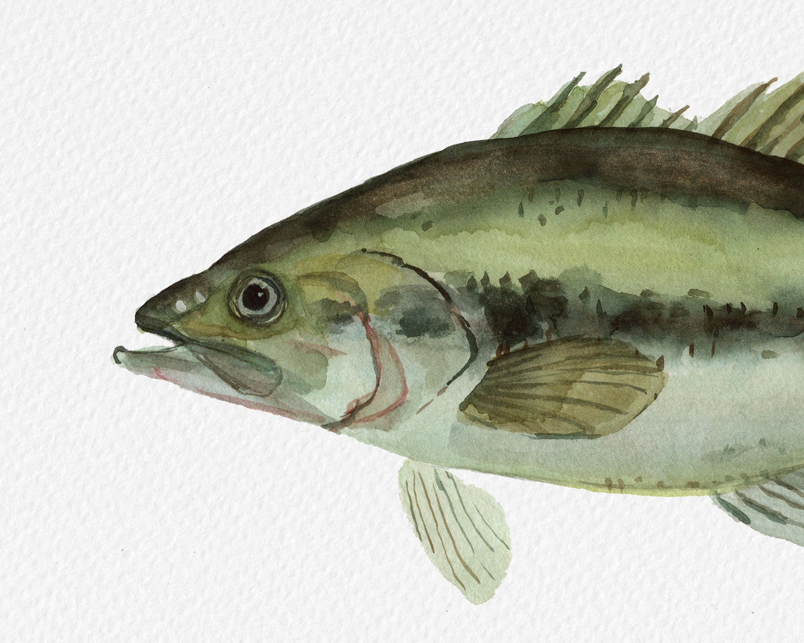 Large Print of Three Fish, Printable Fish Painting, Gift for Him, Fly ...