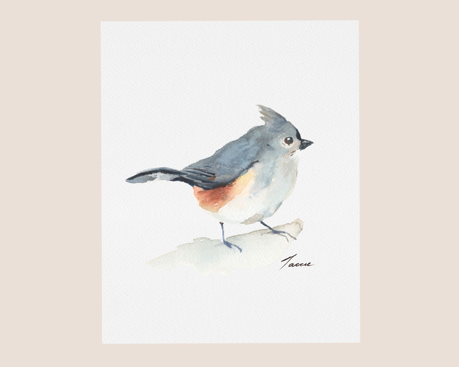 Set of 4 Bird Prints Watercolor Birds Downloadable Prints - Etsy