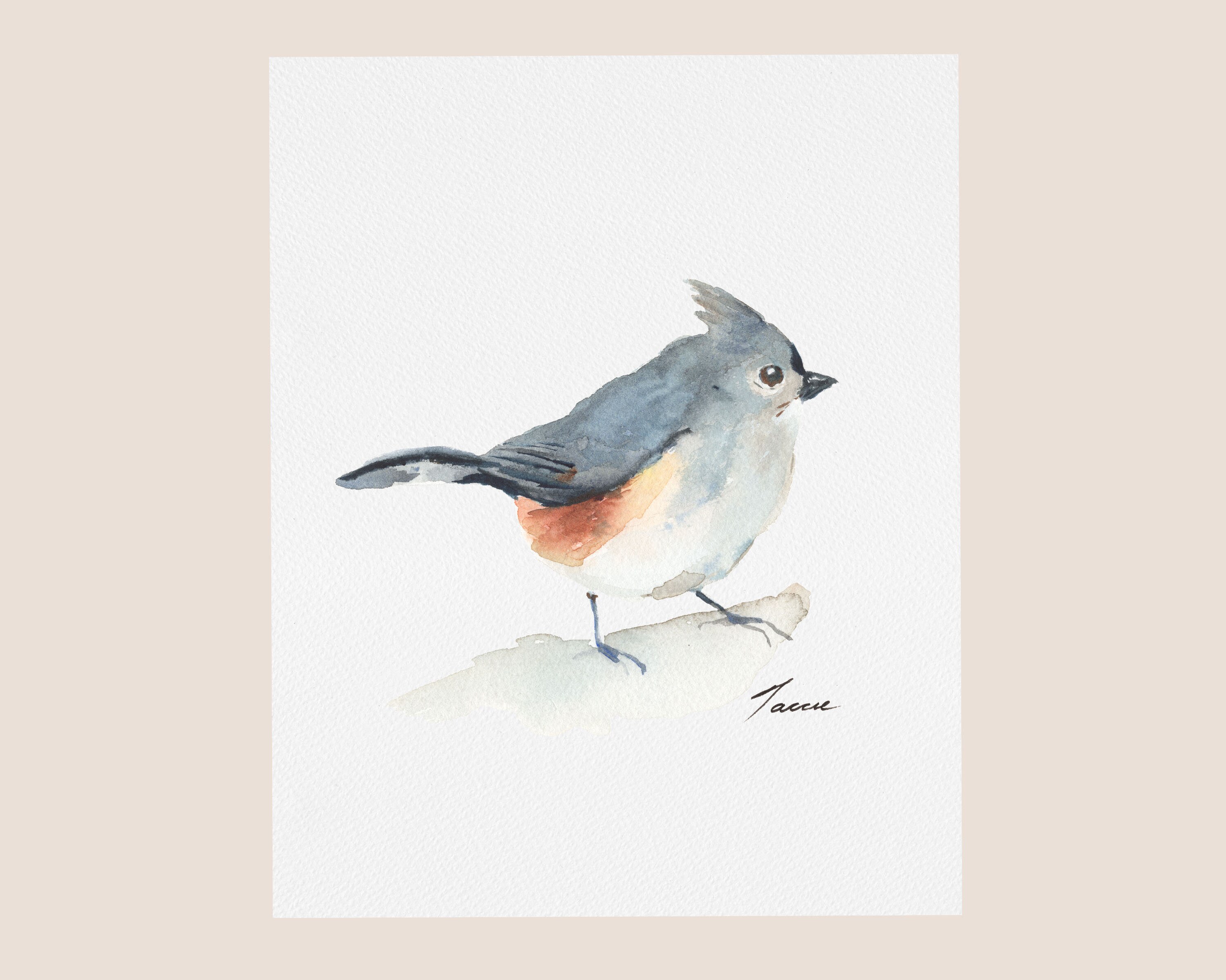 Set of 4 Bird Prints, Watercolor Birds, Downloadable Prints, Printable ...