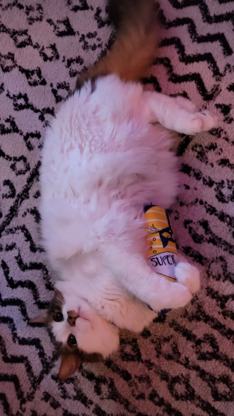 Coke Can Catnip Kicker Toy: Plush Cola Can for Cats - Etsy