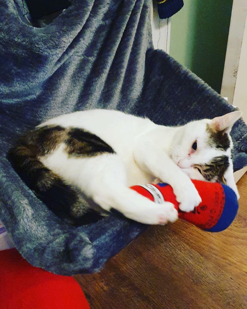 Diet Coke Can Catnip Kicker – Plush Cola Cat Toy - Etsy