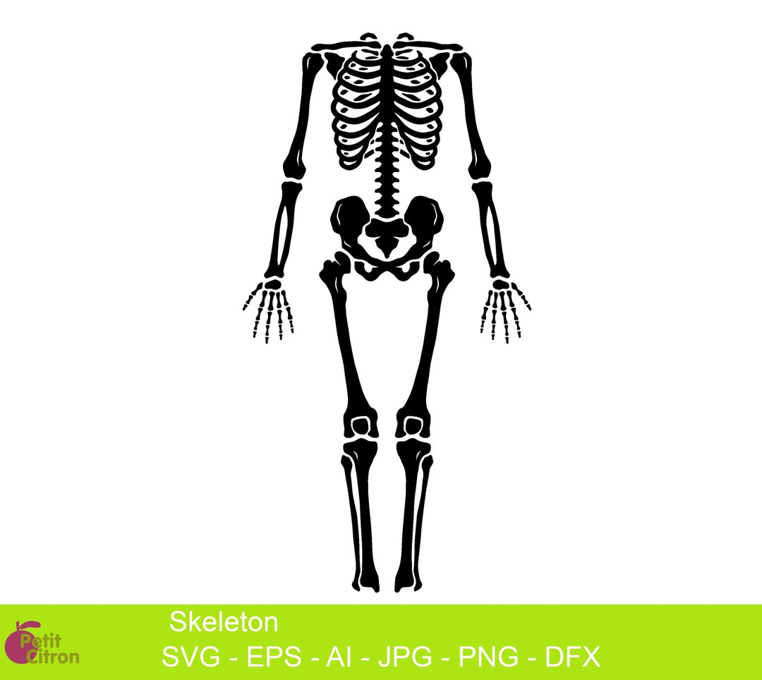Halloween Skeleton Cutting Files: SVG, EPS, DXF, Ai,png, Jpg, Pdf for ...
