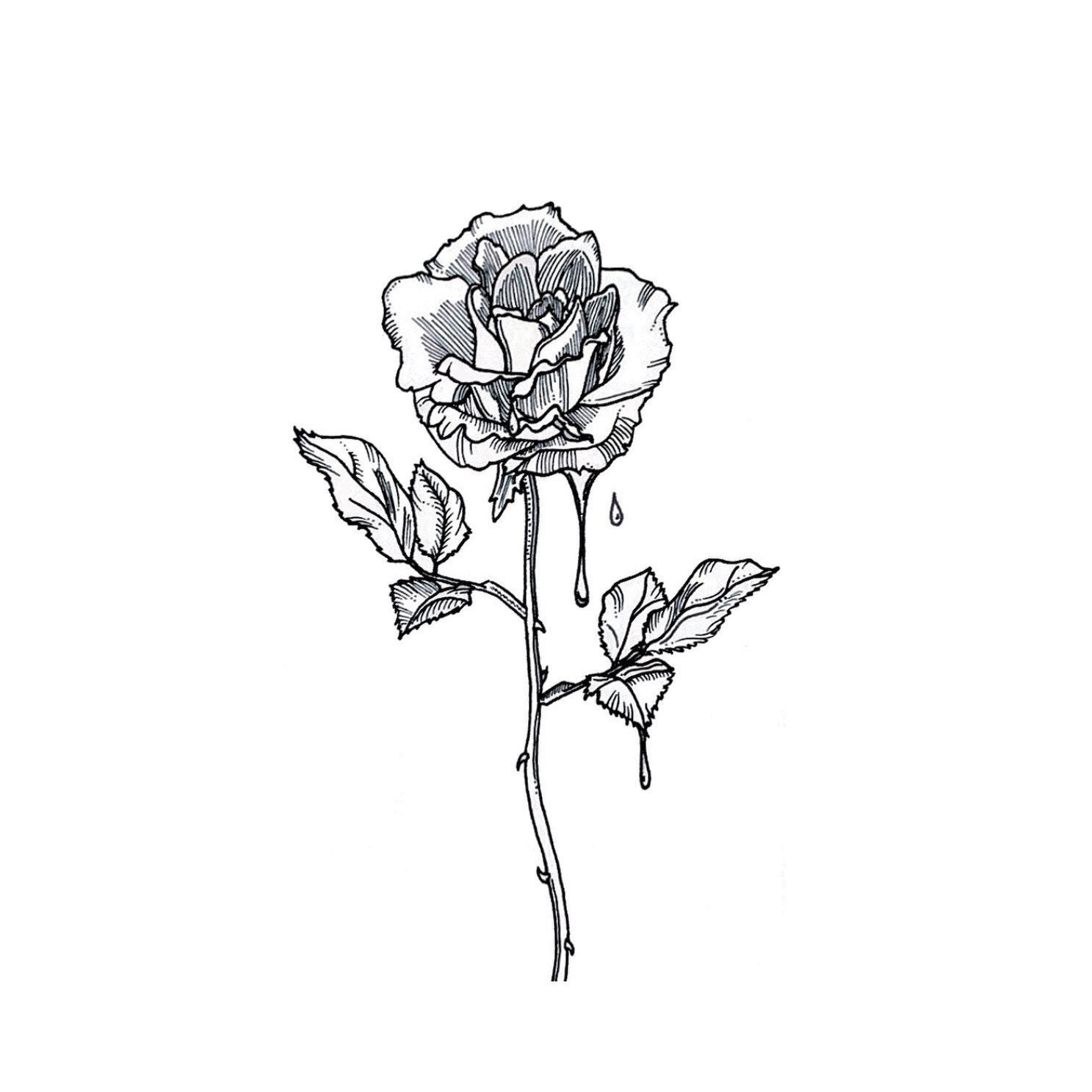 Bleeding Rose Drawing Stunning Bleeding Rose Design Completed By Our