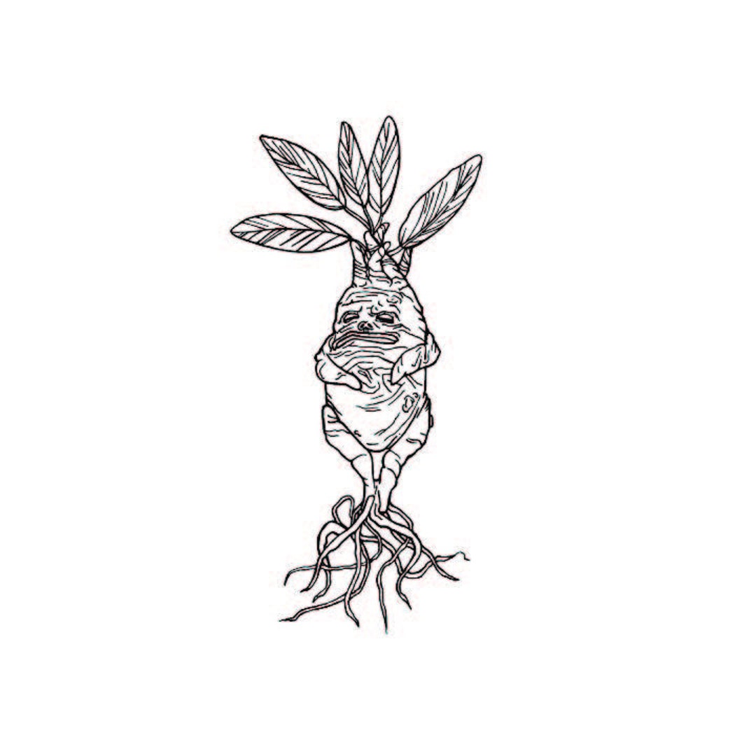 Mandrake Print - Etsy