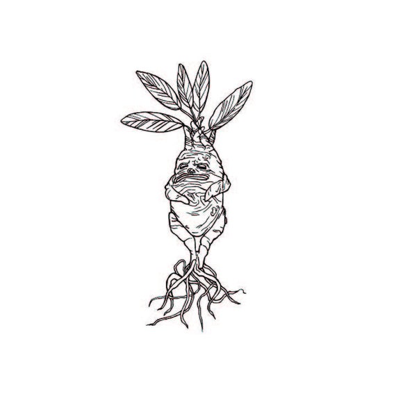 Mandrake Print - Etsy