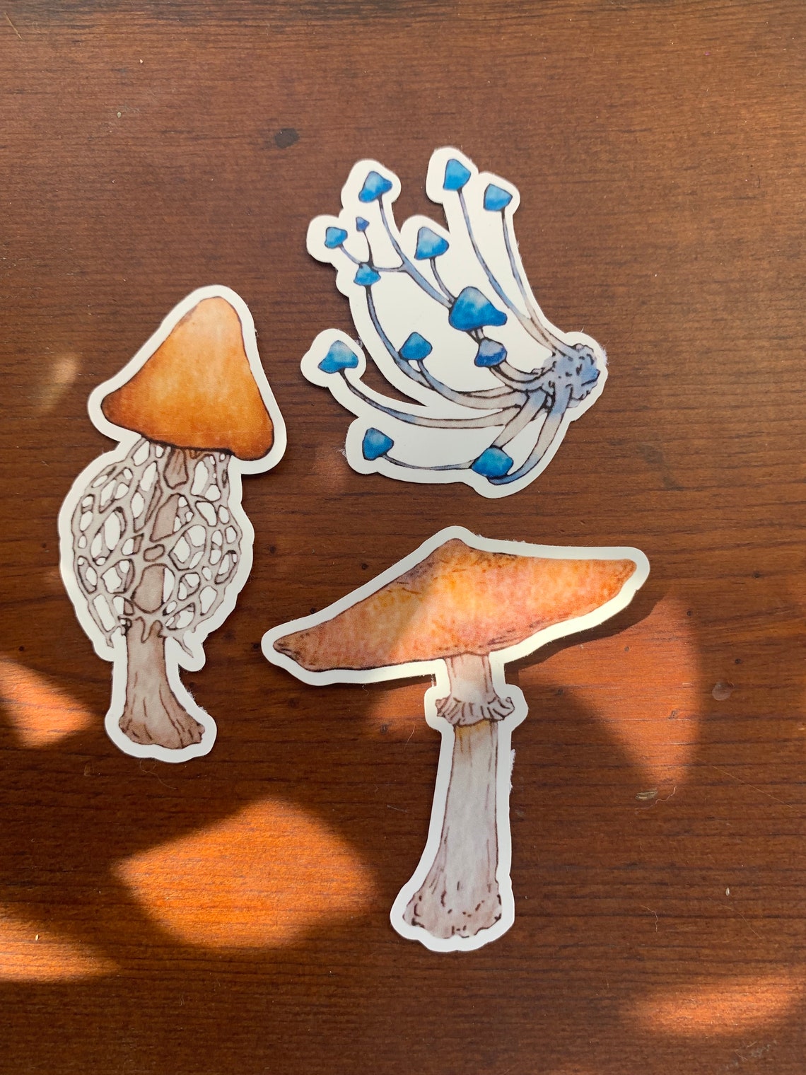 Forest Fungi | Mushroom Sticker Sheet for Laptops, Journaling, Decals ...