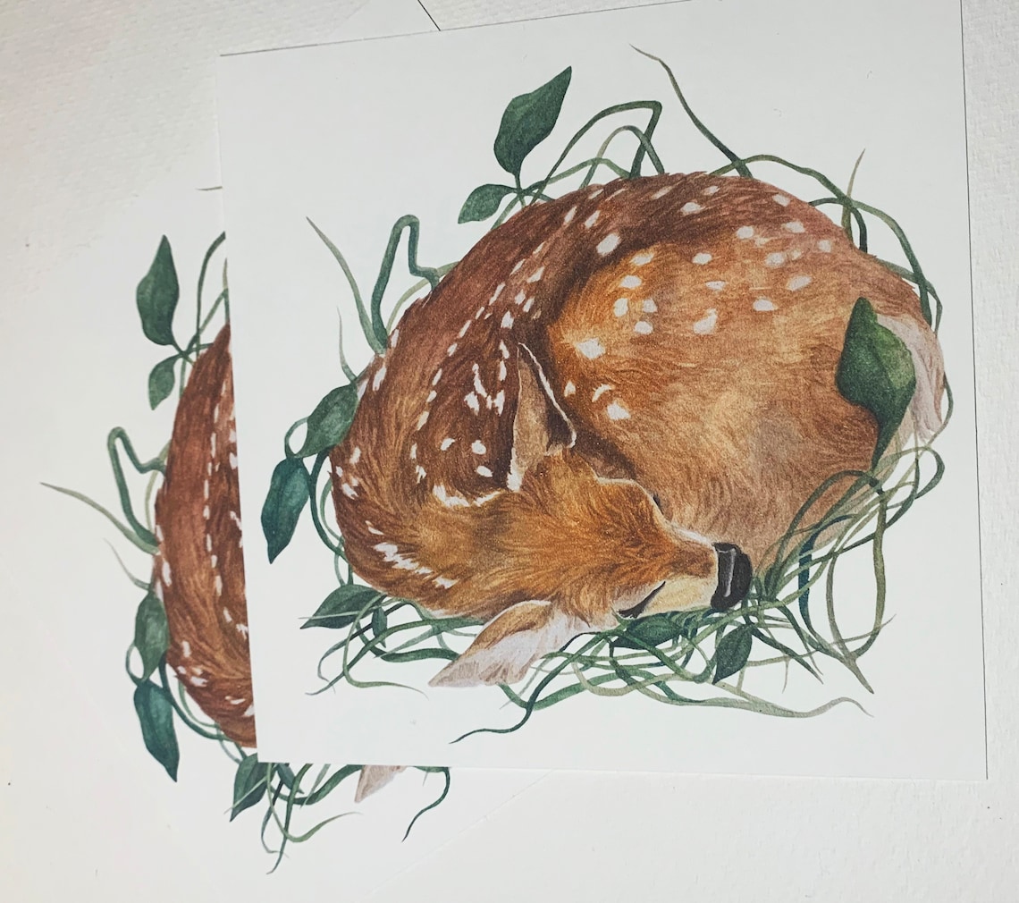 Sleeping Fawn Print Watercolor Fawn Sleeping in a Meadow - Etsy