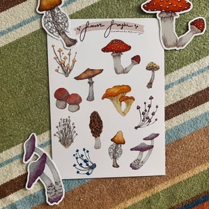 Forest Fungi | Mushroom Sticker Sheet for Laptops, Journaling, Decals ...