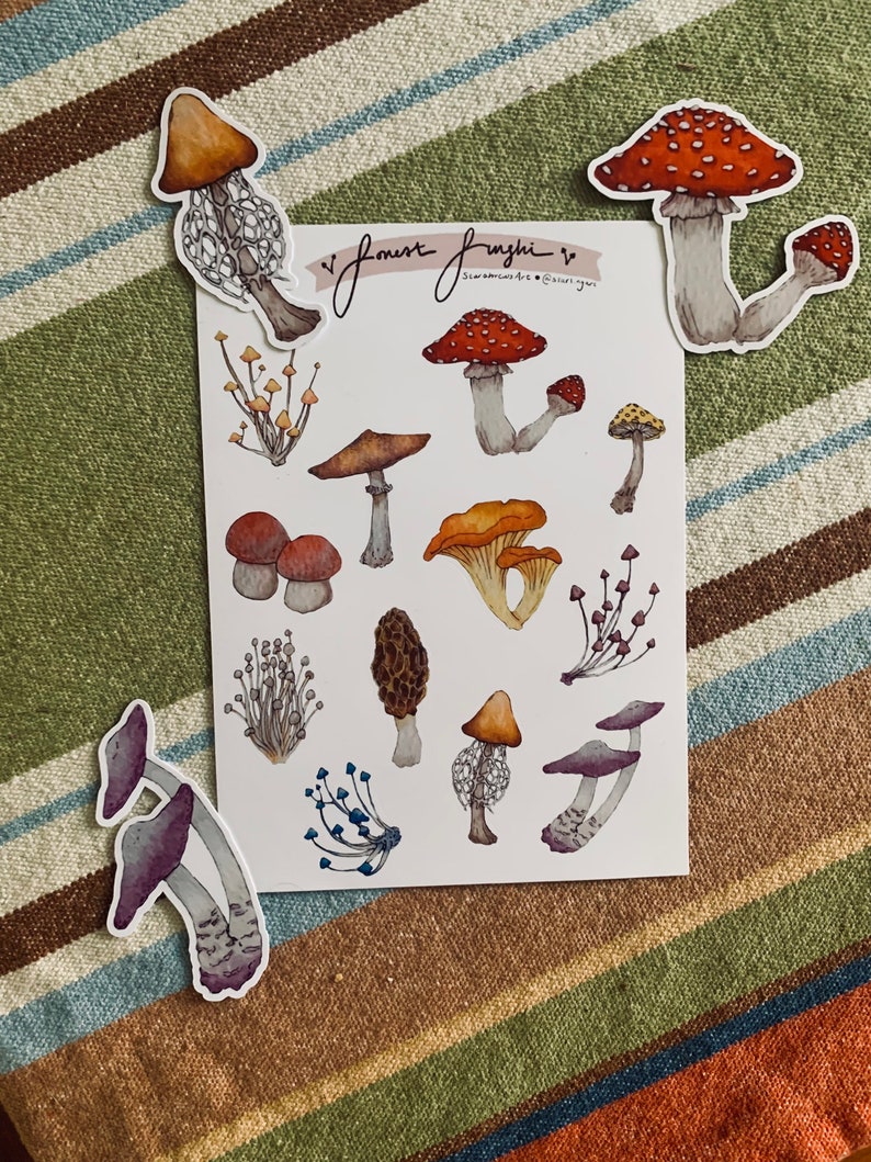 Forest Fungi | Mushroom Sticker Sheet for Laptops, Journaling, Decals ...