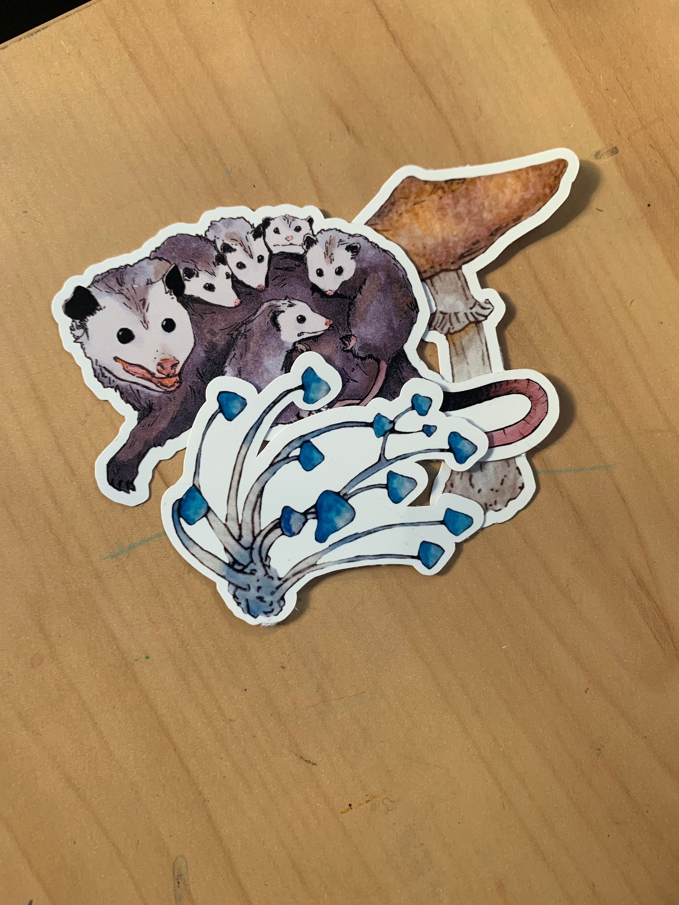 Possum Mother | Possum Stickers for Journaling, Laptops, Water Bottles ...