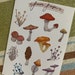 Forest Fungi | Mushroom Sticker Sheet for Laptops, Journaling, Decals ...