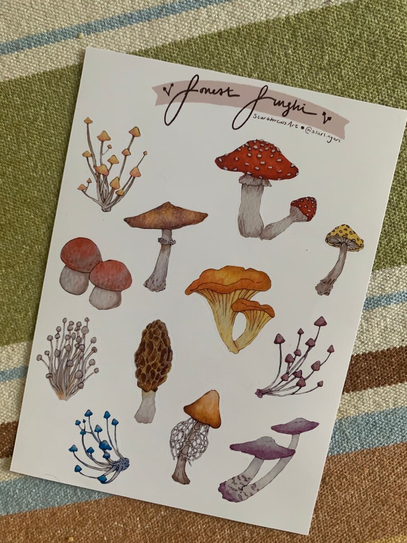 Forest Fungi | Mushroom Sticker Sheet for Laptops, Journaling, Decals ...