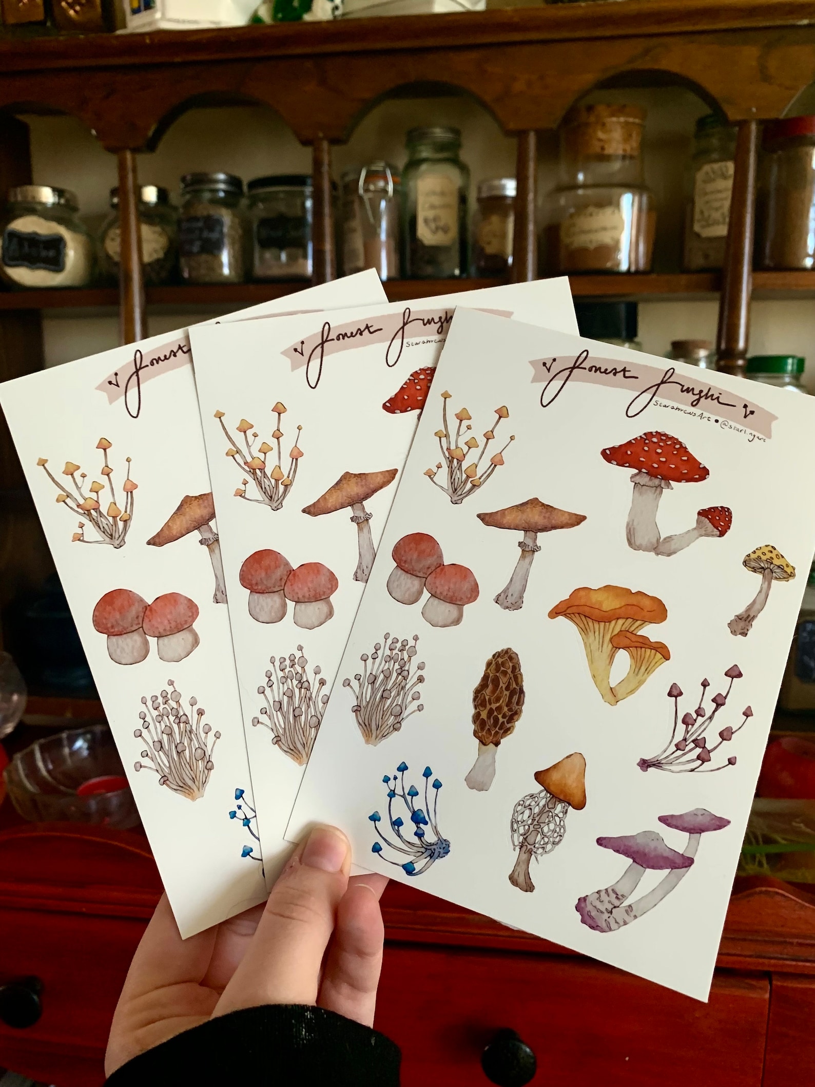 Forest Fungi | Mushroom Sticker Sheet for Laptops, Journaling, Decals ...