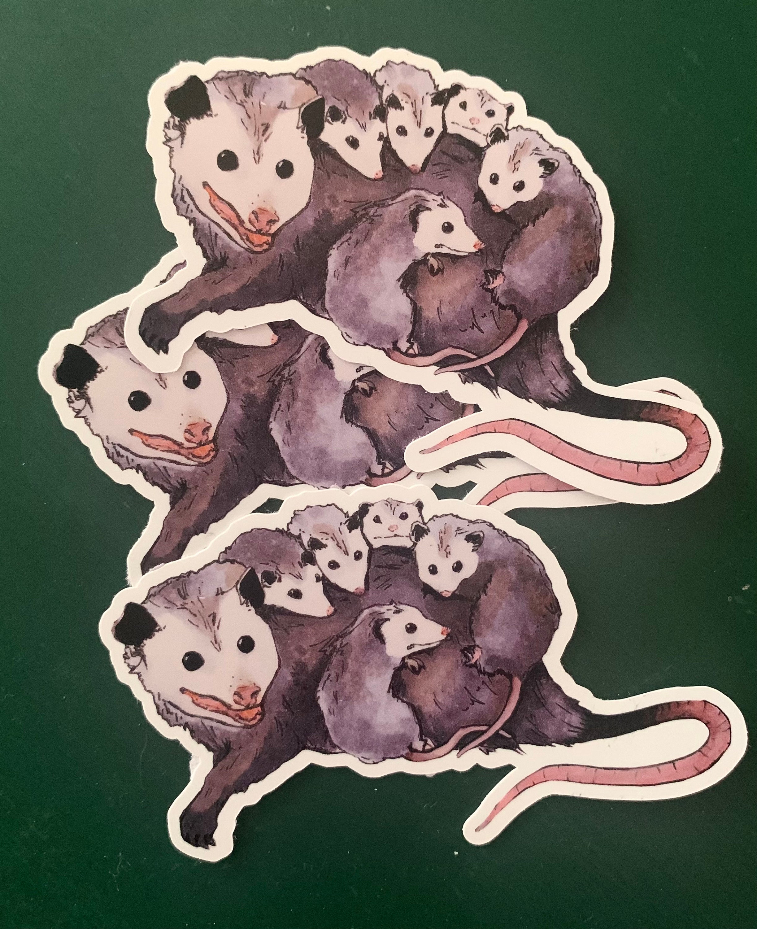 Possum Mother | Possum Stickers for Journaling, Laptops, Water Bottles ...