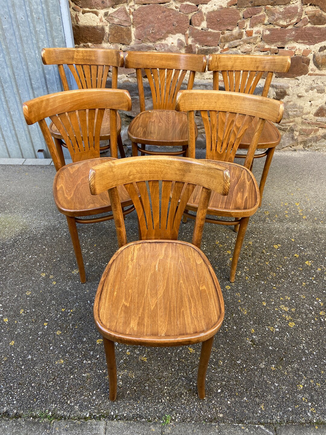6 Bentwood Bistro Chairs Fischel Thonet Bugholzstuhl Bistro Tuna Chairs ...