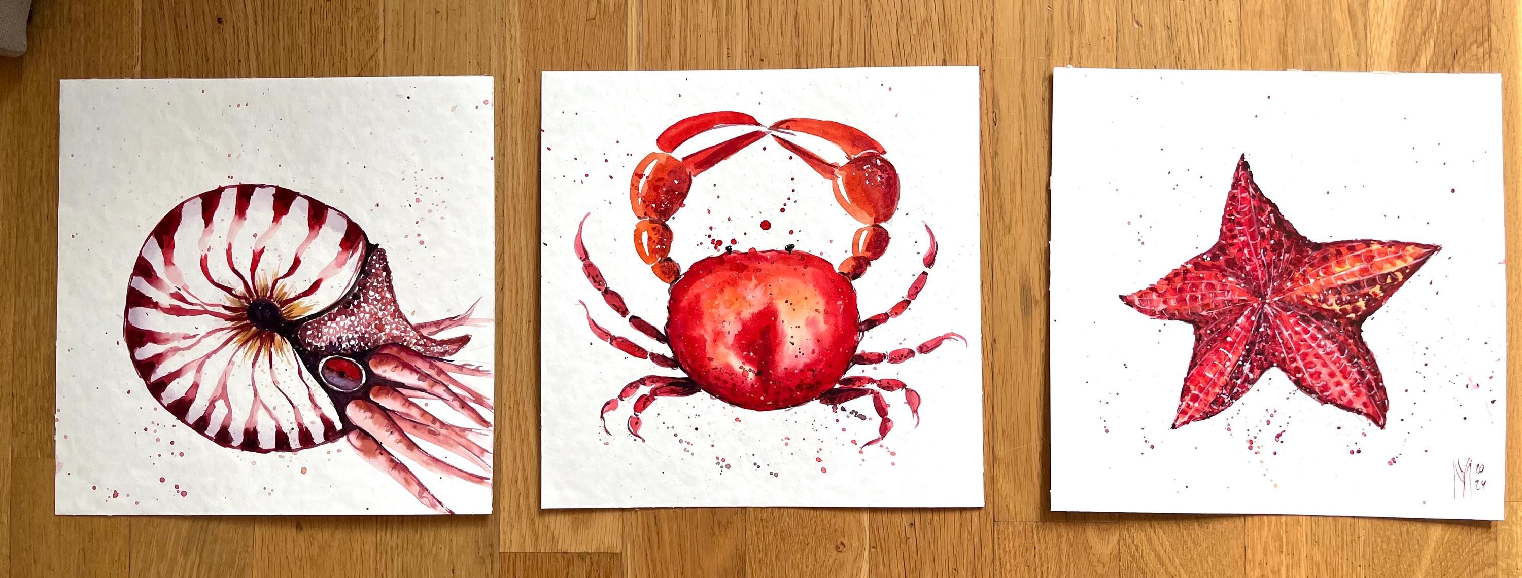 Sea Creature Watercolor Painting: Nautilus Shell Wall Art - Etsy