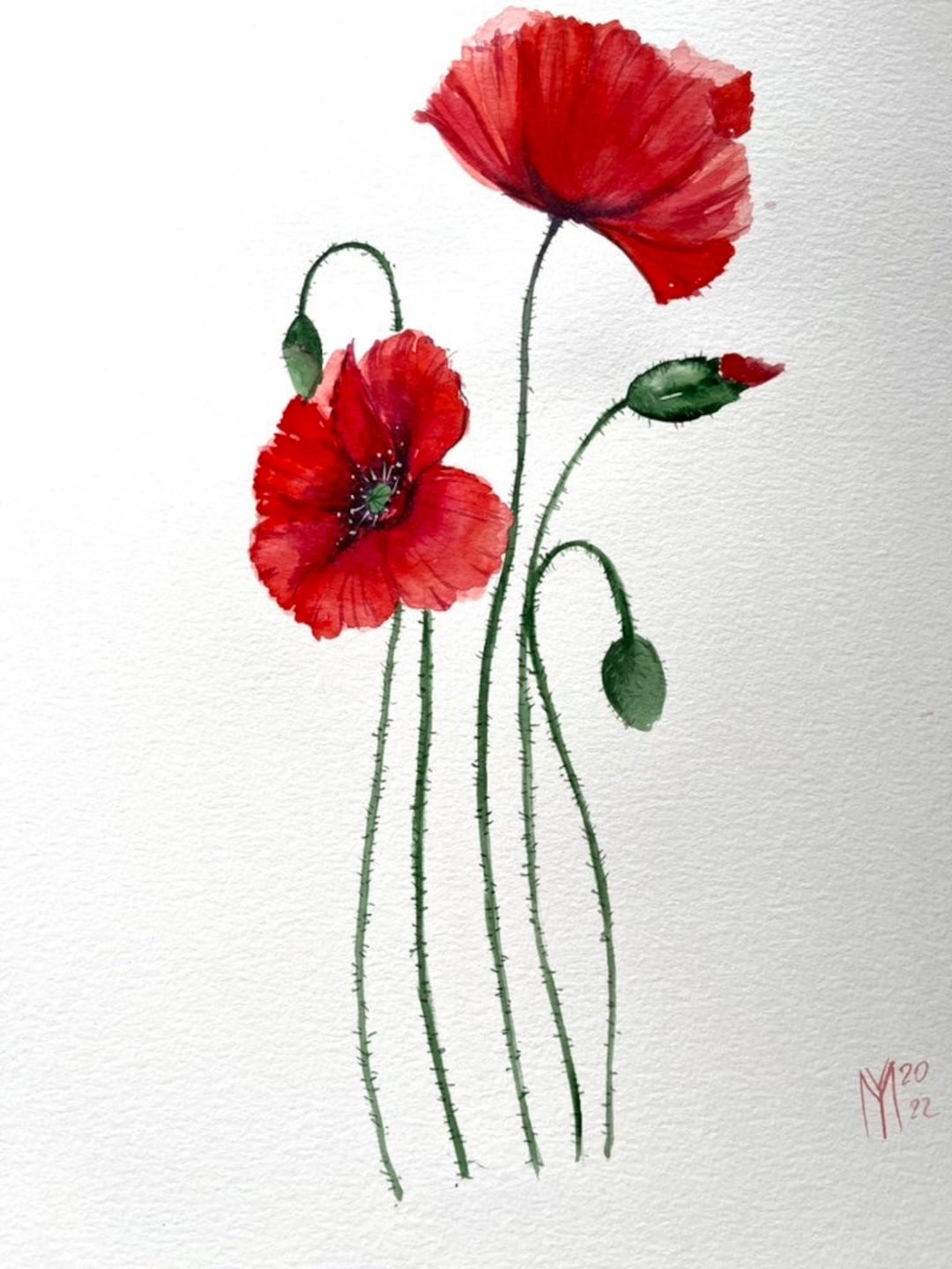 Poppy Wall Art Watercolor Original Painting Wall Decor California ...