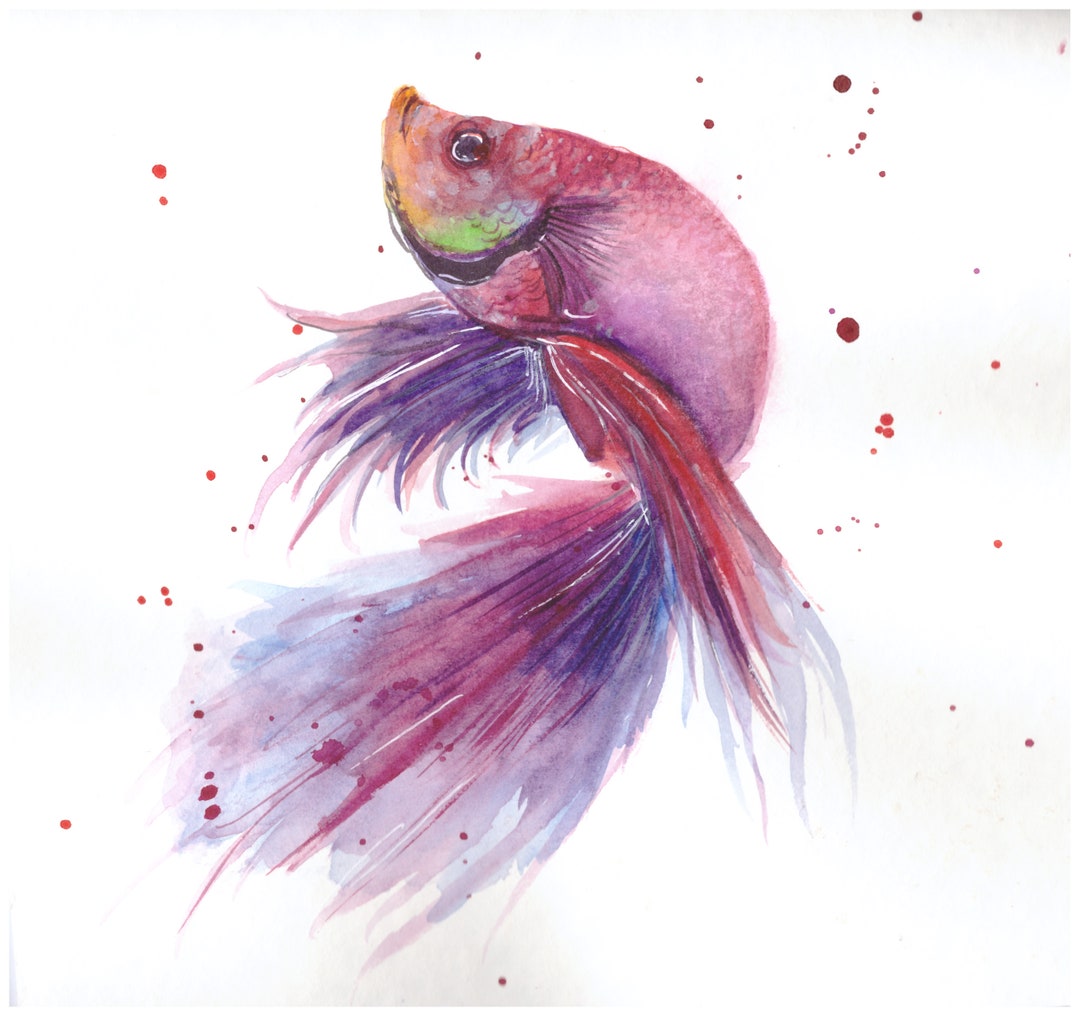 Fighting Fish Original Painting Wall Art - Etsy