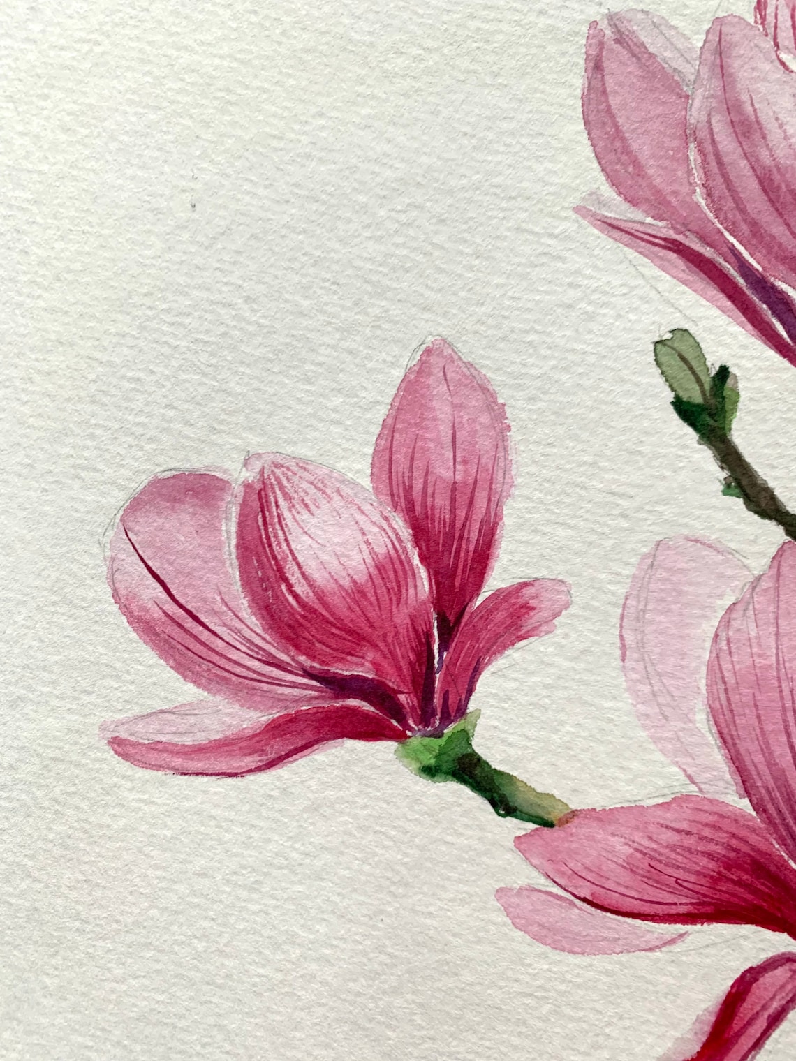 Magnolia Original Watercolor Painting Wall Art | Etsy