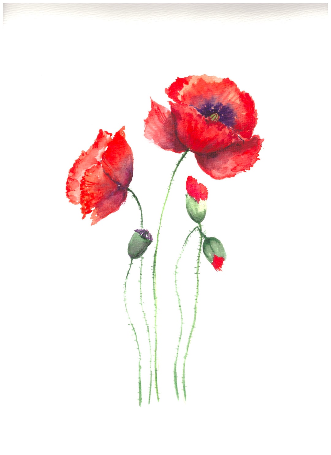 Poppy Wall Art Original Watercolor Painting Wall Decor Mother’s Day ...