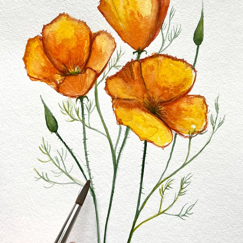 Yellow Poppy Art - Etsy