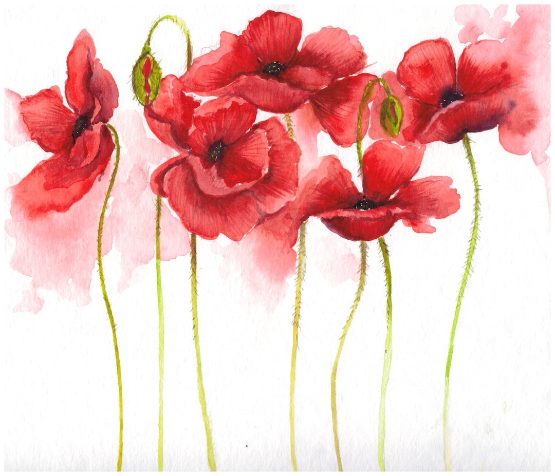 Poppy Wall Art Original Watercolor Painting Wall Decor California ...
