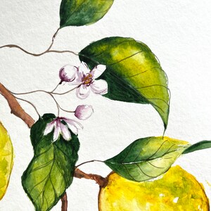 Original Lemon Painting, Original Mini Watercolor Painting, Cute Still ...