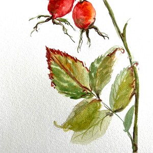 Rose Hip Original Painting Wall Art - Etsy
