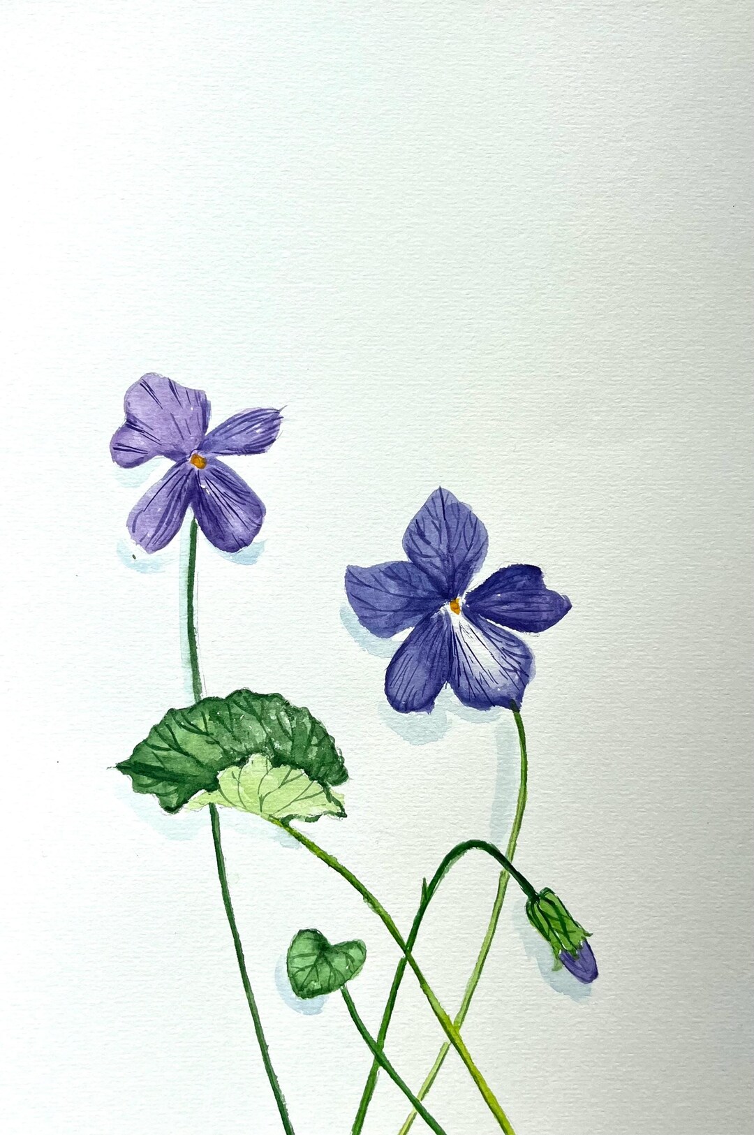 Original Viola Watercolor Painting: Floral Wall Art, Home Decor - Etsy