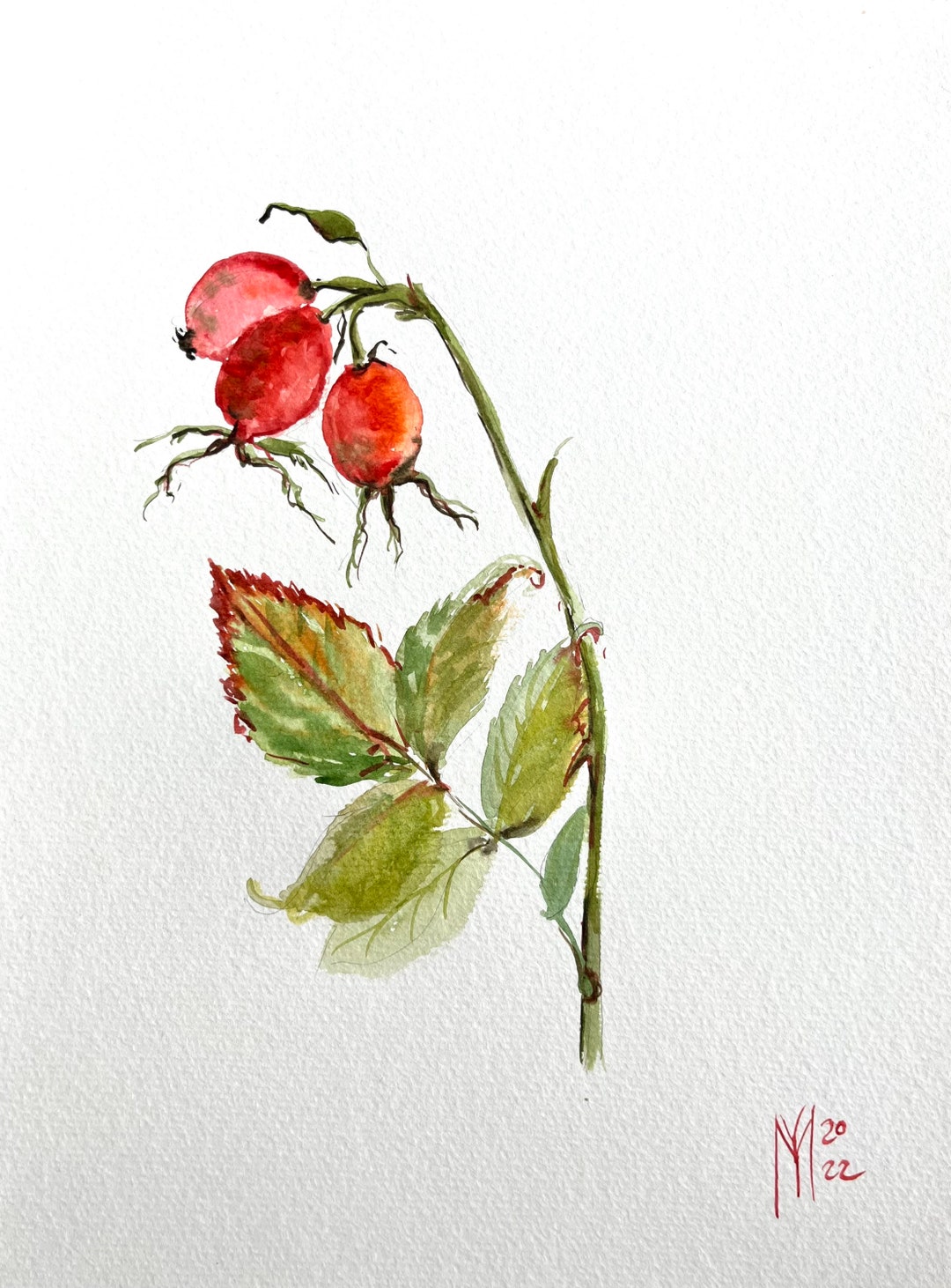 Rose Hip Original Painting Wall Art - Etsy