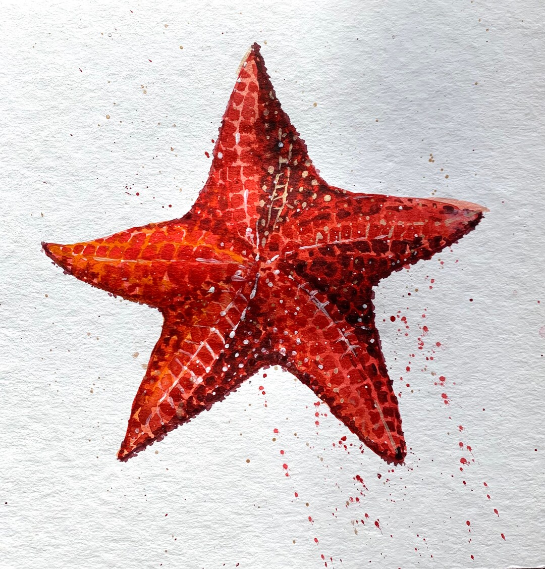 Starfish Original Painting Wall Art - Etsy