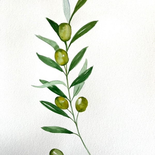Olive Branch Art Vintage - Etsy