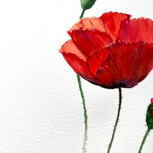 Poppy Original Watercolor Wall Art - Etsy