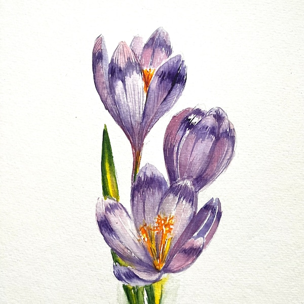 Purple Crocus - Etsy