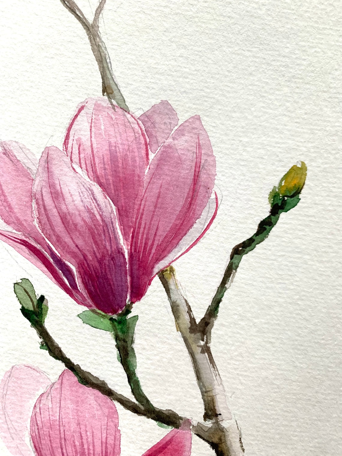 Magnolia Original Watercolor Painting Wall Art | Etsy