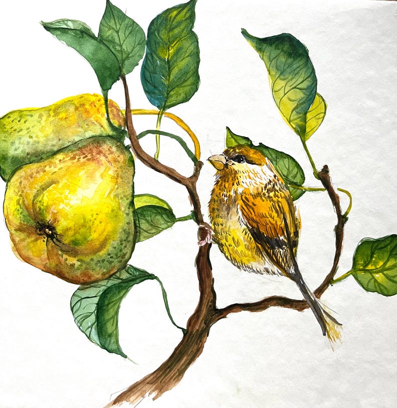 Bird on Pear Watercolor Painting: Original Robin Wall Art (10x10 Inch ...
