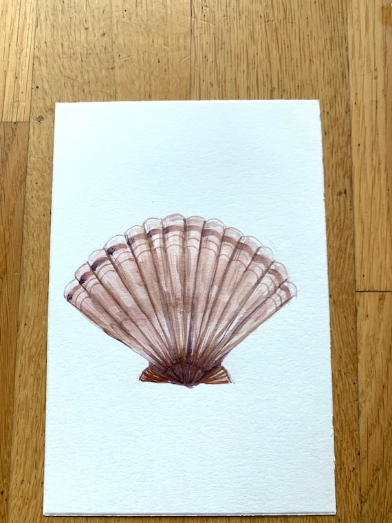 Seashell Postcards Set Original Painting Watercolor 3 - Etsy