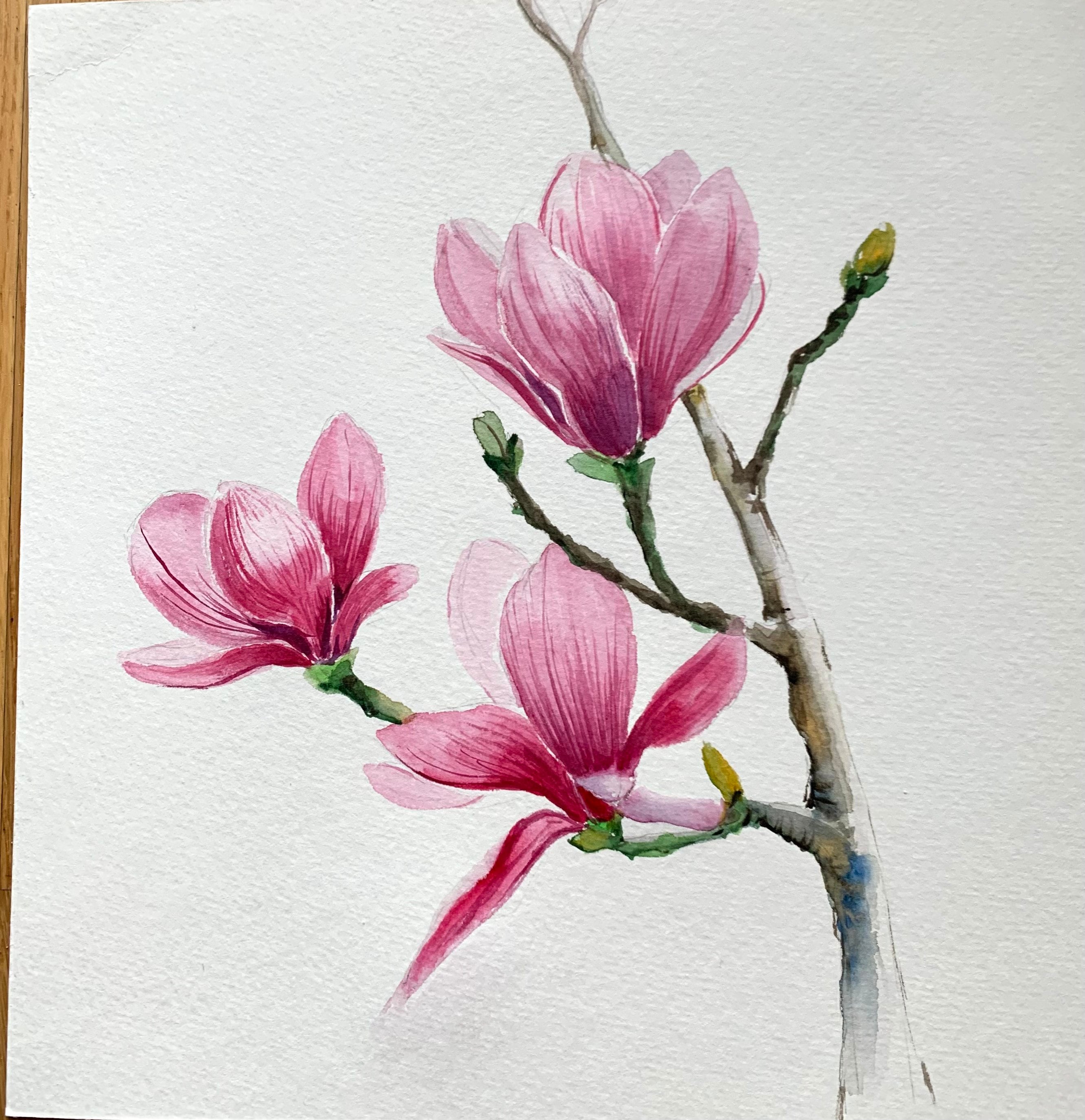 Magnolia Original Watercolor Painting Wall Art | Etsy